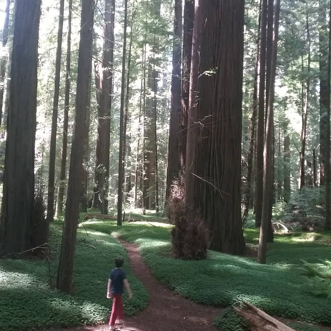 Ideas for Writing in Nature | Lux Writing Center